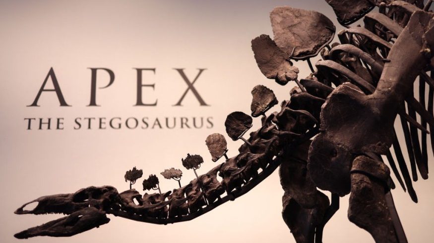 The Chinchorro culture: The World's oldest known Artificial ...