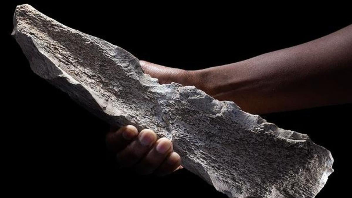 The Chinchorro culture: The World's oldest known Artificial ...